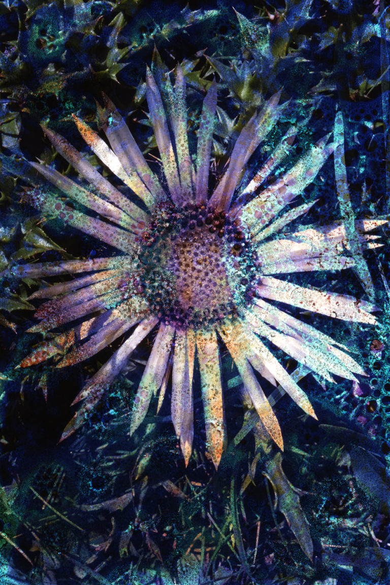 Photo Esplanade – Maya Rochat - chateau_gruyeres – chateau_gruyeres