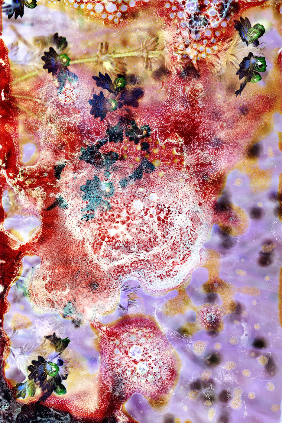 Photo Esplanade – Maya Rochat - chateau_gruyeres – chateau_gruyeres